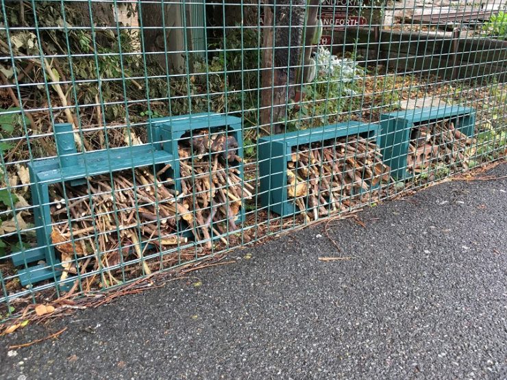 Platform 2 for the Bug Train at Handforth ..... - Cheshire Best Kept ...